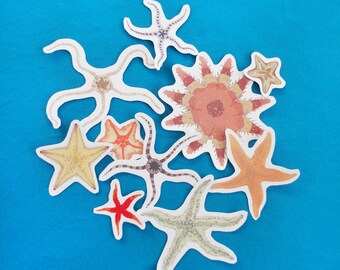Starfish Stickers | Etsy