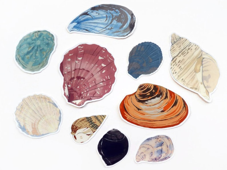 Shell Stickers 10 Different Shells - Etsy