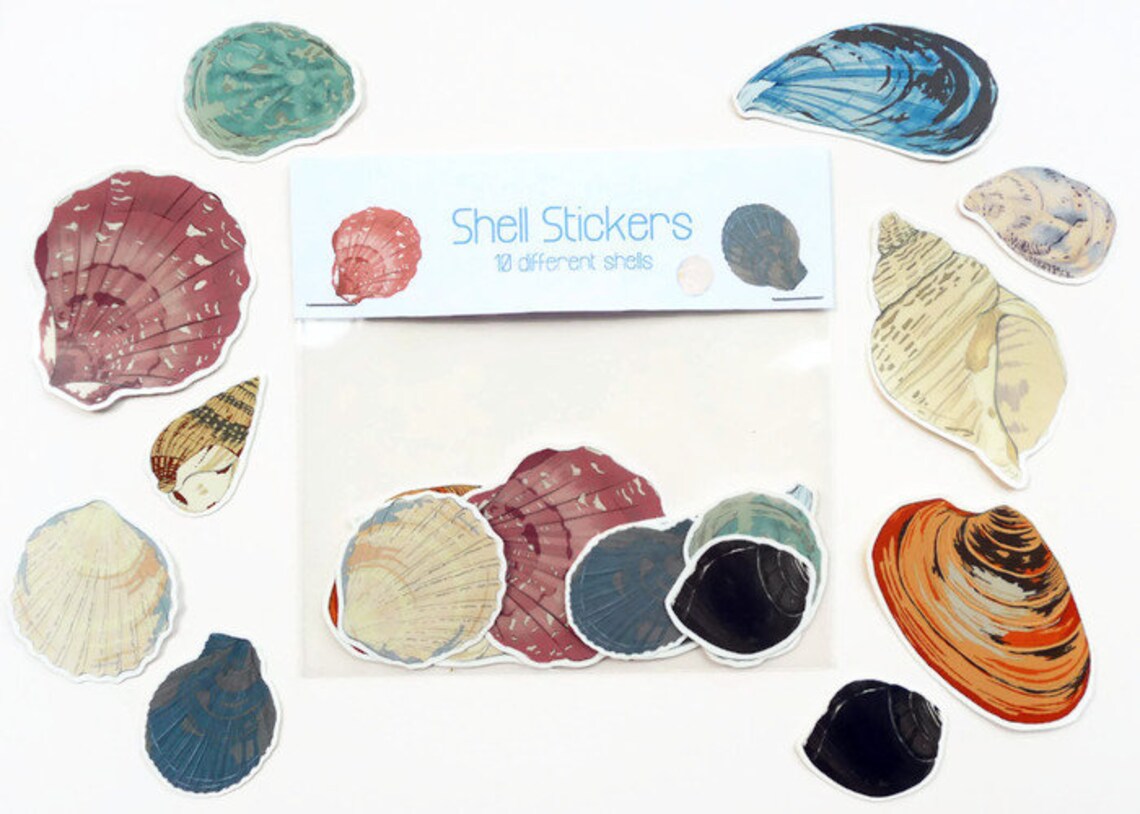 Shell Stickers 10 Different Shells - Etsy
