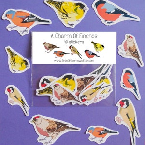 Finch Stickers (ten Sticker Flakes) - Etsy