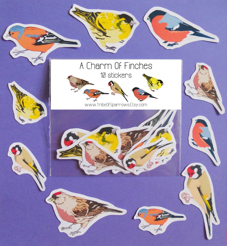 Finch Stickers ten Sticker Flakes - Etsy