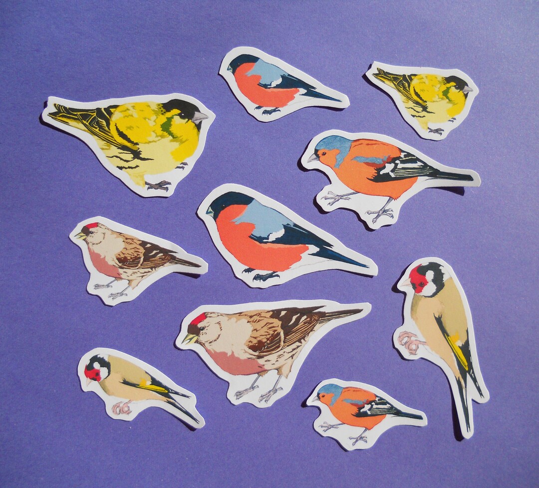 Finch Stickers (ten Sticker Flakes) - Etsy