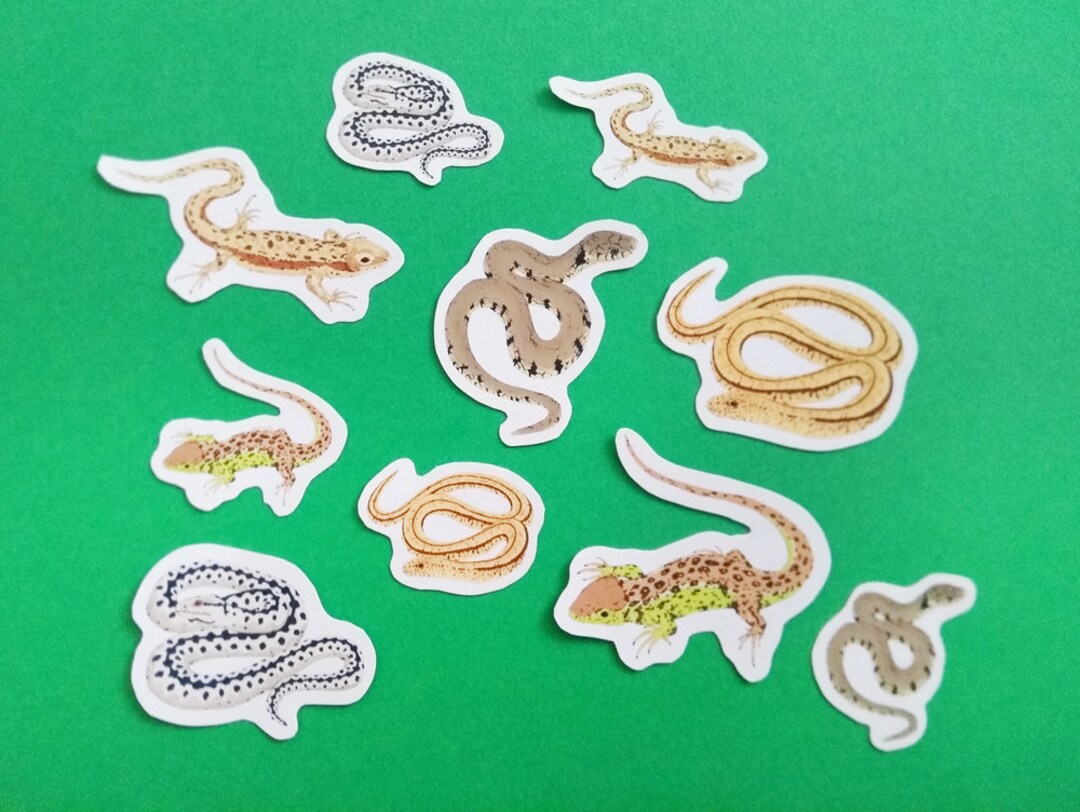 Reptile Stickers ten Sticker Flakes - Etsy