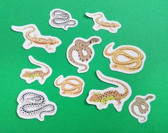 Reptile Sticker | Etsy