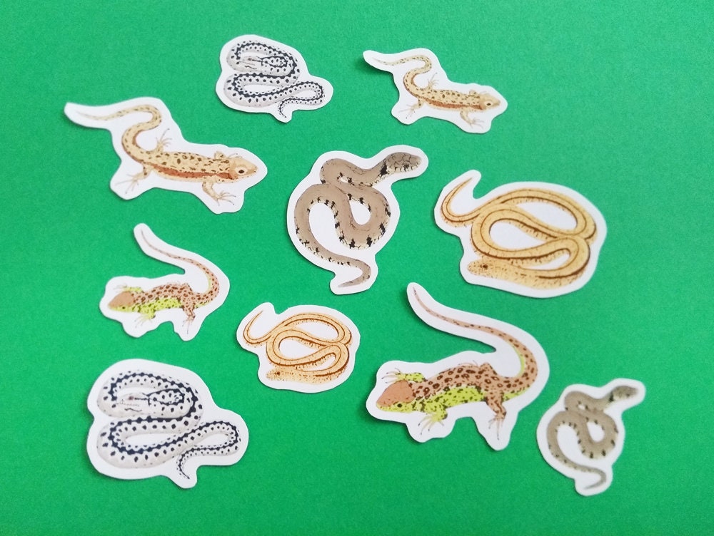 Reptile Stickers ten sticker flakes | Etsy