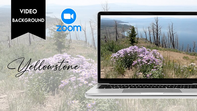 Yellowstone Zoom Animated Video Virtual Backgrounds | Backdrop | Office Background | Microsoft ...