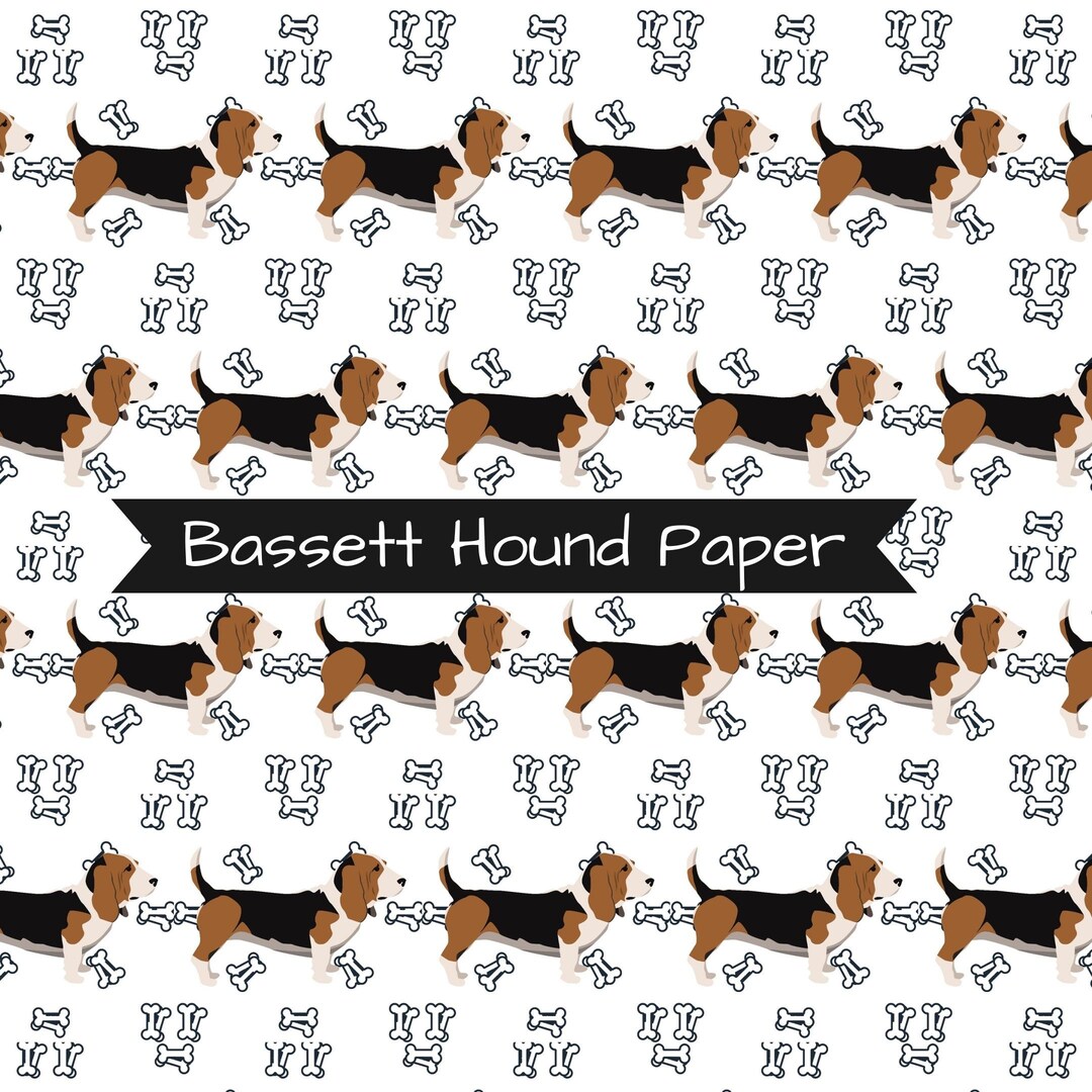 Bassett Hound Digital Seamless Paper Pattern - Etsy