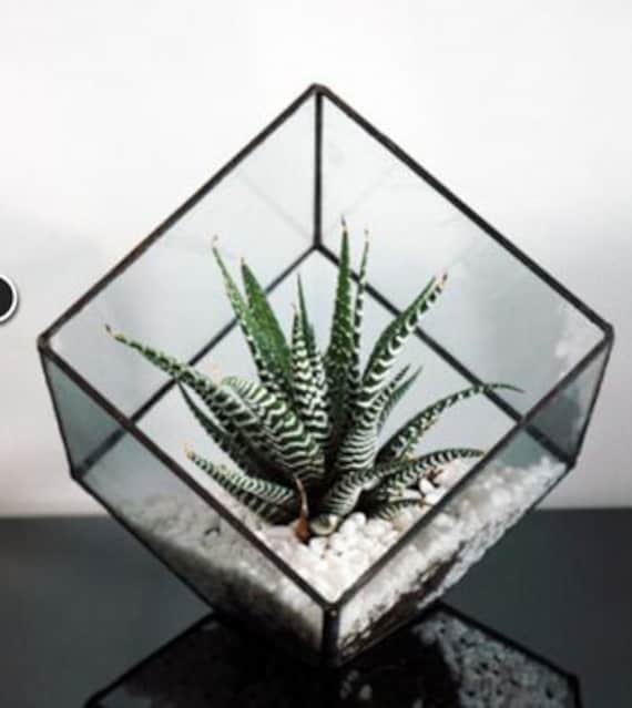 Terrarium Black Cube Geometric-Succulent-Home | Etsy