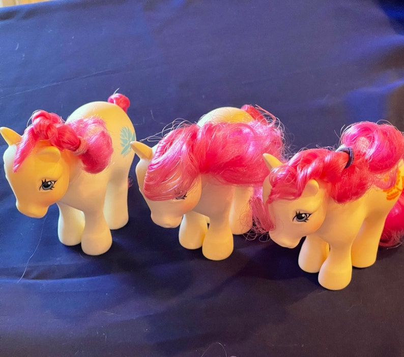 COMPLETE SET Birth Flower Ponies, Retro 80s My Little Pony MLP Dolls ...