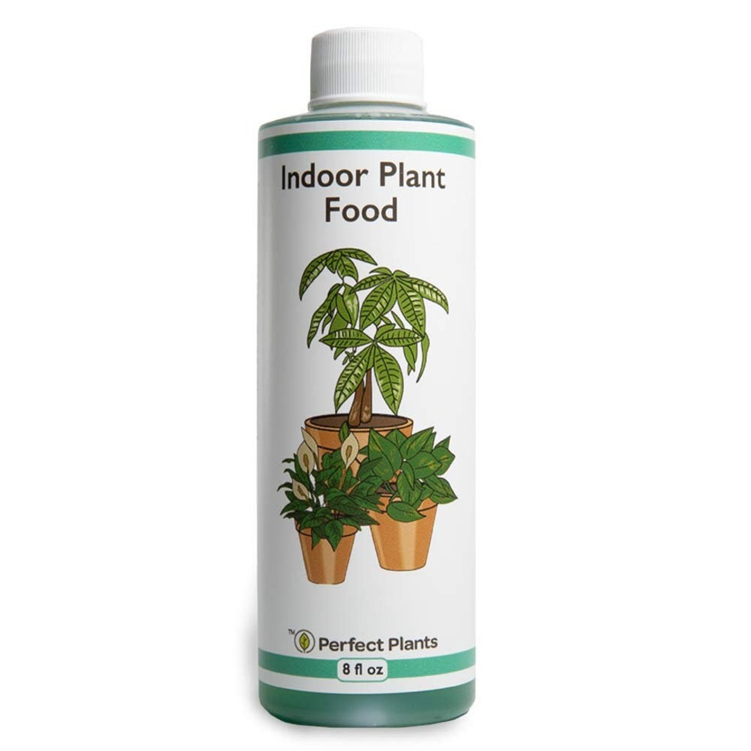 Liquid Indoor Plant Food, 8oz. of Concentrated All-purpose Fertilizer ...