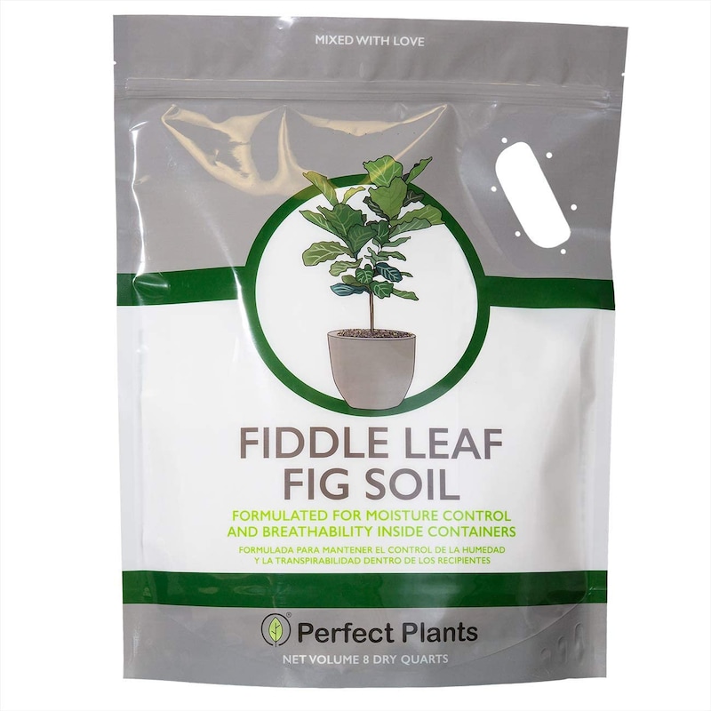 Used Fiddle - Etsy