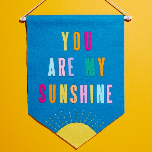 Handmade Felt Pennant Banner You Are My Sunshine in Turquoise - Etsy