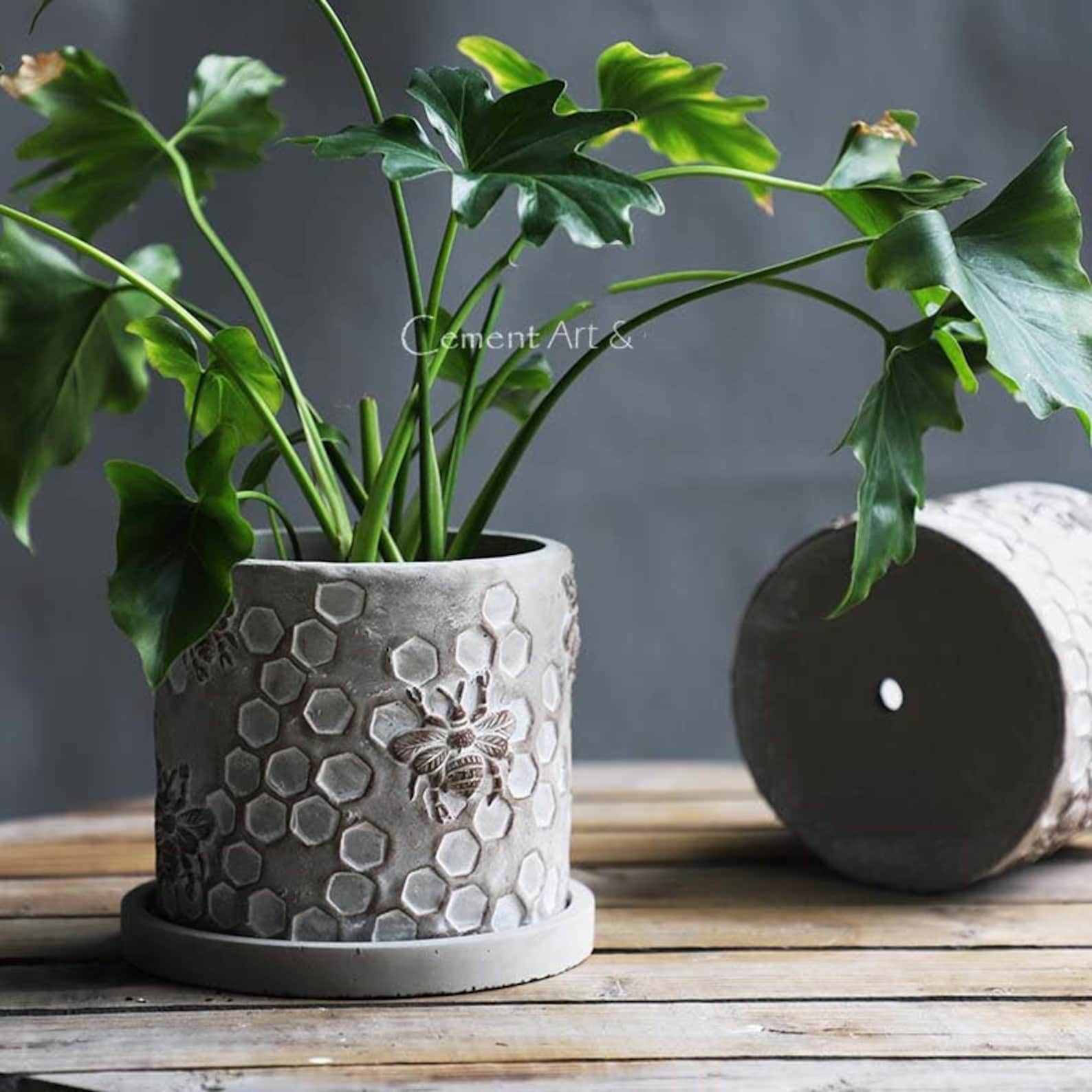 Pinkiemold Bee Pattern Silicone Pot Molds Garden Planter Molds - Etsy