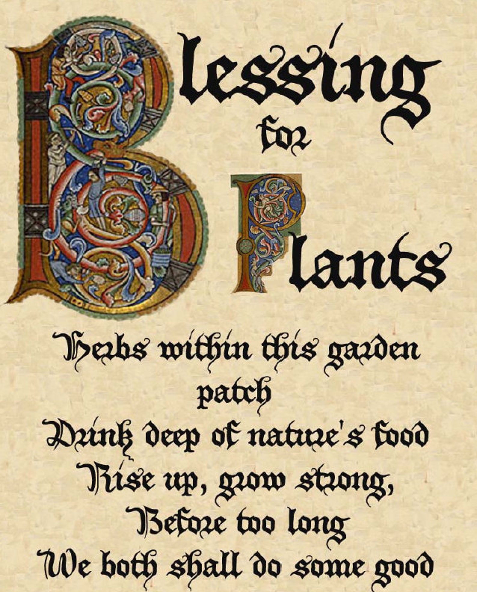 CHARMED BOOK of SHADOWS Complete 736 Pages Pdf Digital - Etsy