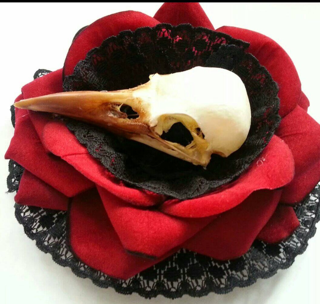 Skull Crow Taxidermy Fascinator in Dark Red XL Rose With - Etsy