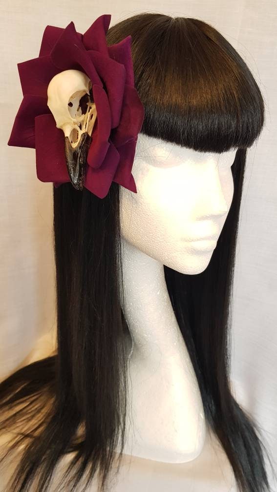 Skull Crow Taxidermy Fascinator in Dark Purple XL Rose | Etsy