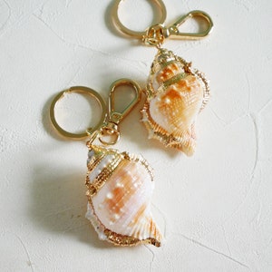 Shell Keychain, Natural Seashell, Ocean Gift, Ocean Accessory, Beach ...