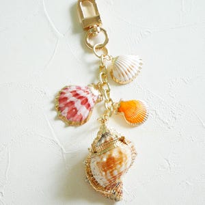 Sea Shell Keychain, Gold Shell Keychain, Natural Seashell, Ocean Gift ...