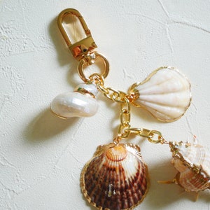 Sea Shell Keychain, Gold Shell Keychain, Natural Seashell, Ocean Gift ...