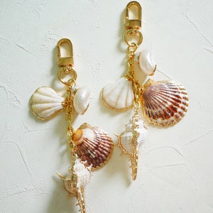 Sea Shell Keychain, Gold Shell Keychain, Natural Seashell, Ocean Gift ...