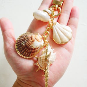 Sea Shell Keychain, Gold Shell Keychain, Natural Seashell, Ocean Gift ...