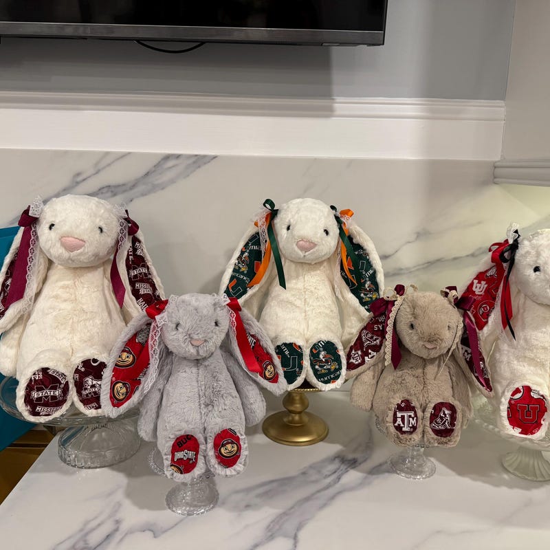 Custom College Jellycat - Etsy