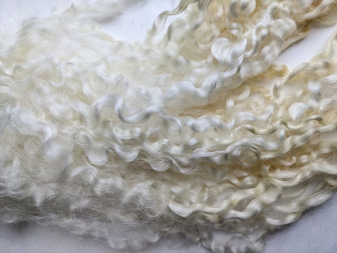 Teeswater Wool Locks, Natural White, Washed, 25 Grams (0.88oz) - Etsy