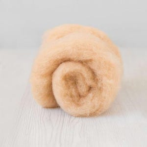 Needle Felting Wool, Skin Tones Palette, Carded New Zealand Wool, 9 ...