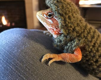 Lizard sweater | Etsy