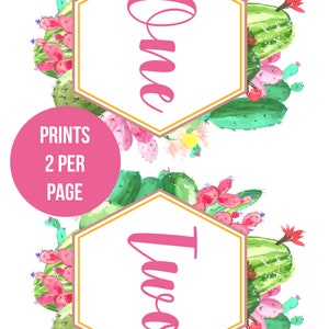 Cactus Table Numbers, Succulent Printable, Downloadable File ...