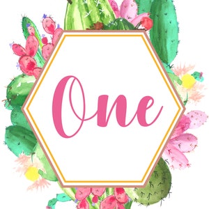 Cactus Table Numbers, Succulent Printable, Downloadable File ...