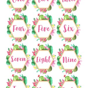 Cactus Table Numbers, Succulent Printable, Downloadable File ...
