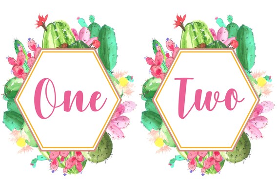 Cactus Table Numbers Succulent Printable Downloadable File | Etsy