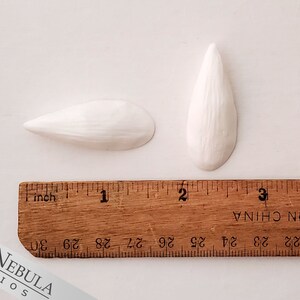 Pointed, Curved 1.5 Inch Claws in White or Black - Etsy