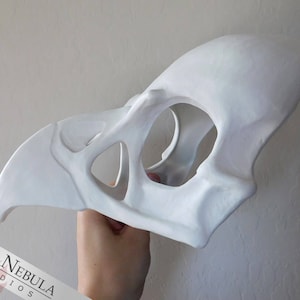 Eagle Skull Mask Blank, Hawk Skull Face Mask, Raptor Skull Mask, Bird ...