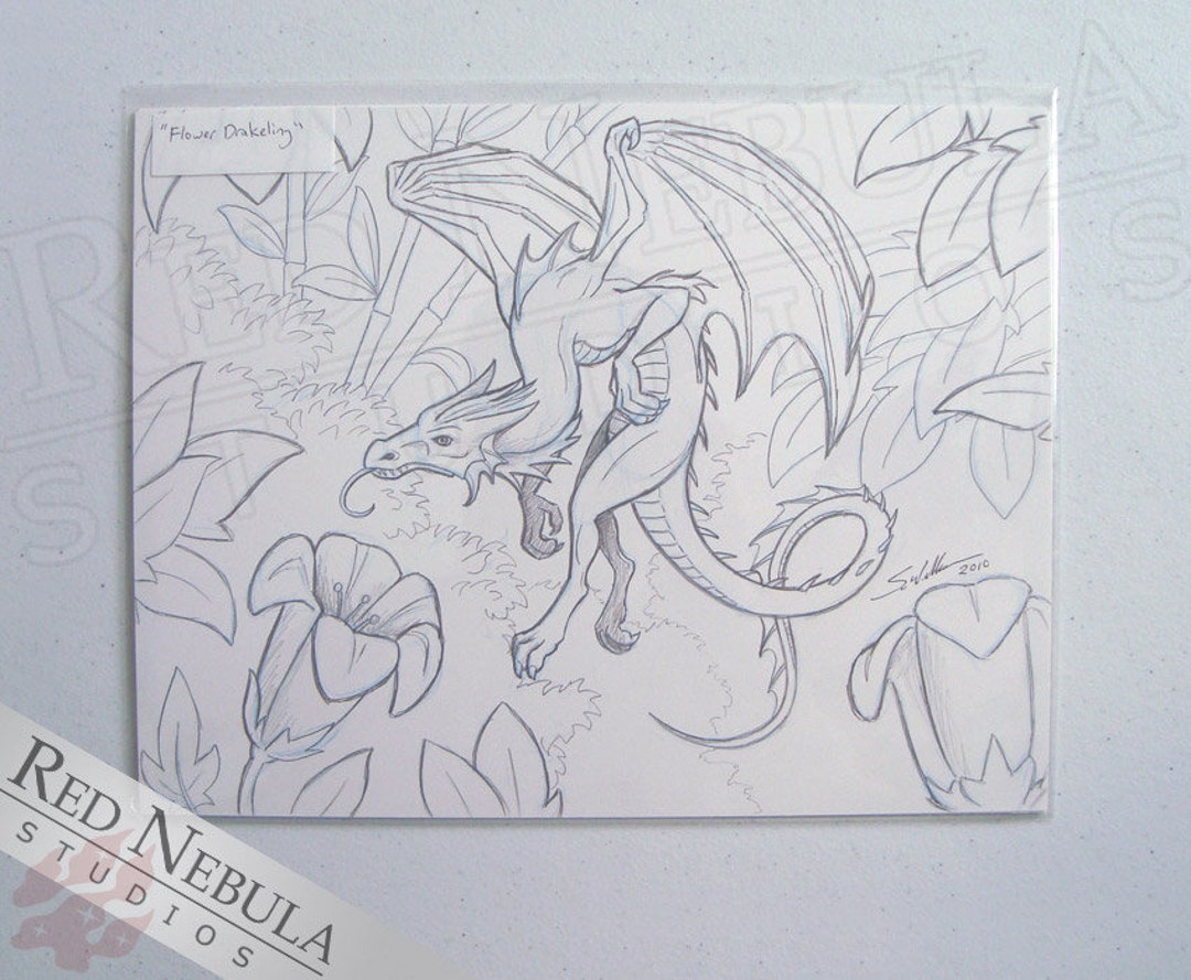 8.5 X 11 Cute Dragon Drawing With Flowers and Leaves, Original Fantasy ...