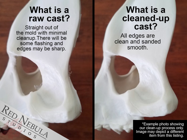 Human Skull Half Mask Blank Cast Resin Mask for Skeleton - Etsy