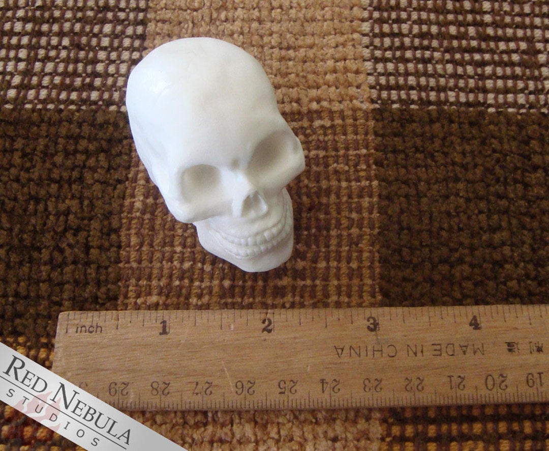 Small Human Skull in White Resin, Miniature Skeleton Head, Unpainted ...