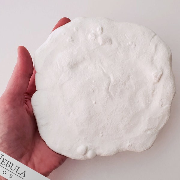 Fairy Garden Base - Etsy