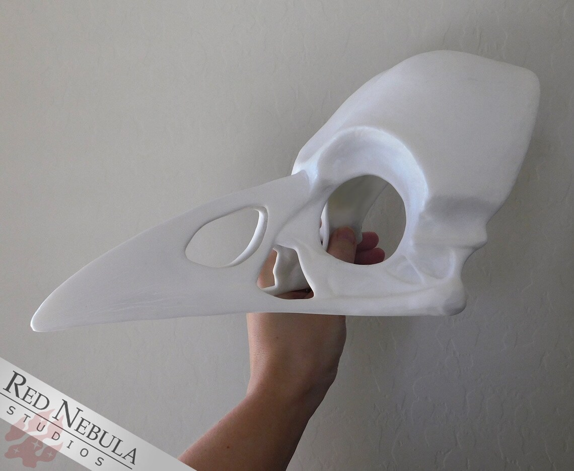 Raven Skull Mask Blank White Cast Resin Mask for Ravens - Etsy