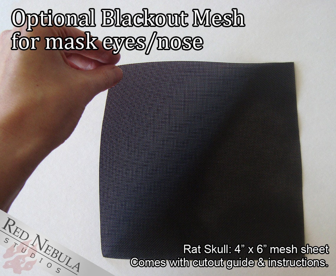 Rat Skull Mask Blank Cast Resin Rodent Skull Mouse Skull - Etsy