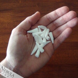 Set of Thin 1" Teeth, White or Black Resin Fangs, Animal or Lizard ...