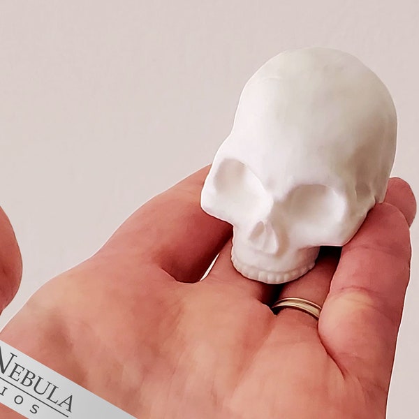 Human Skull - Etsy