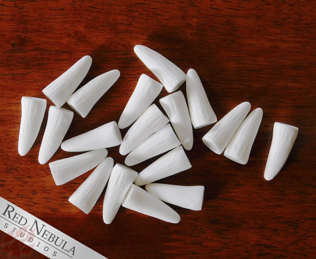 Set of 1.25 Ridged Teeth, White or Black Resin Fangs, Ridged Animal ...