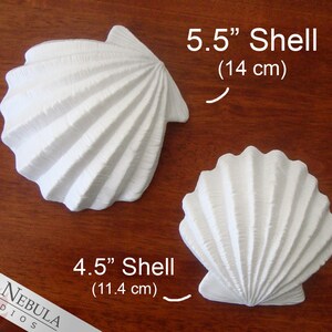 Blank Sea Shells Single or Pair, Cast Resin Clam Shell Seashell Prop ...