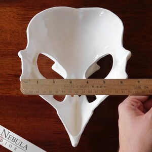 Eagle Skull Mask Blank, Hawk Skull Face Mask, Raptor Skull Mask, Bird ...