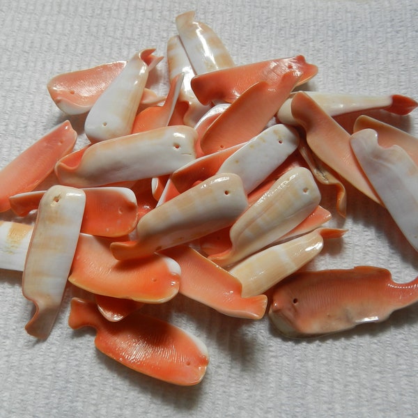 Red Lip Shell - Etsy