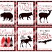 Woodland Friends Printable Valentine's Day Cards Digital File - Etsy