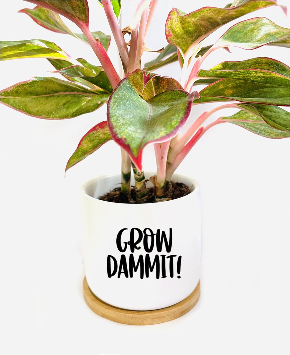 Grow Dammit Funny Planter Plant Pot Funny Planters Funny Plant Saying 4 ...