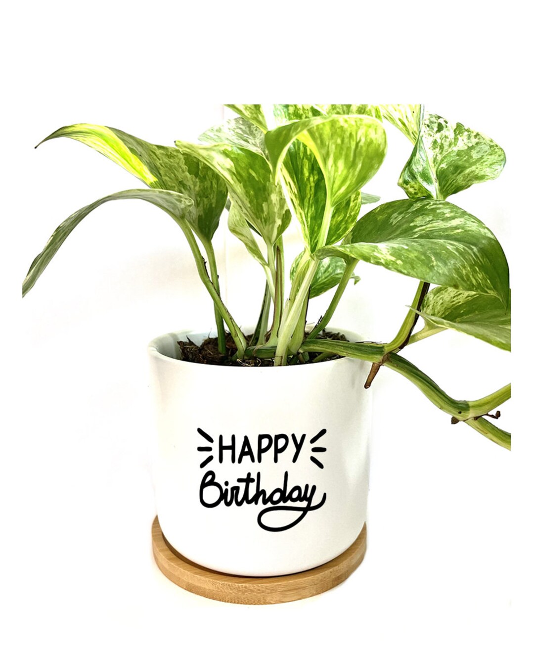 Happy Birthday | Funny Planter | Plant Pot | Funny Planters | Funny ...